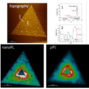 Multi-information at the nanoscale for the development of tomorrow’s 2D ...