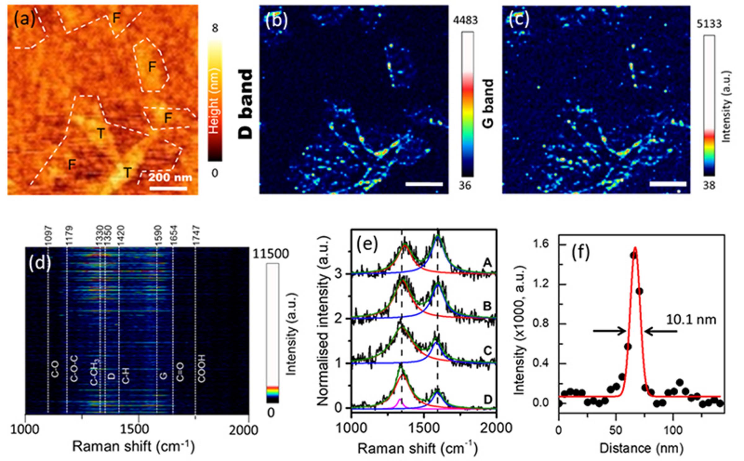 AFM Optical Platform - NanoRaman - HORIBA