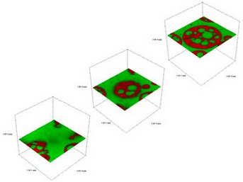 Expanded beads - HORIBA