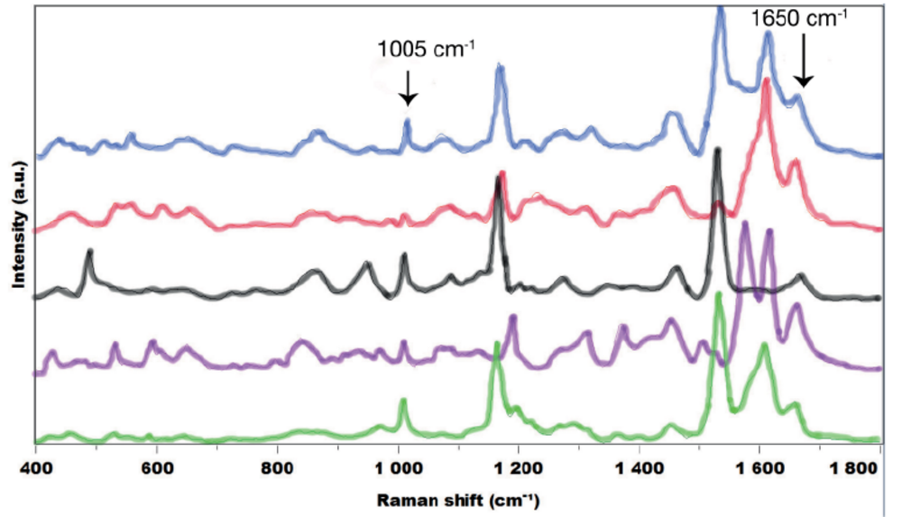 LabRAM Odyssey: Confocal Raman & High-Resolution Spectrometer - HORIBA