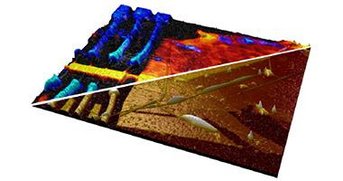Signature SPM - Scanning Probe Microscope with Chemical Signature - HORIBA