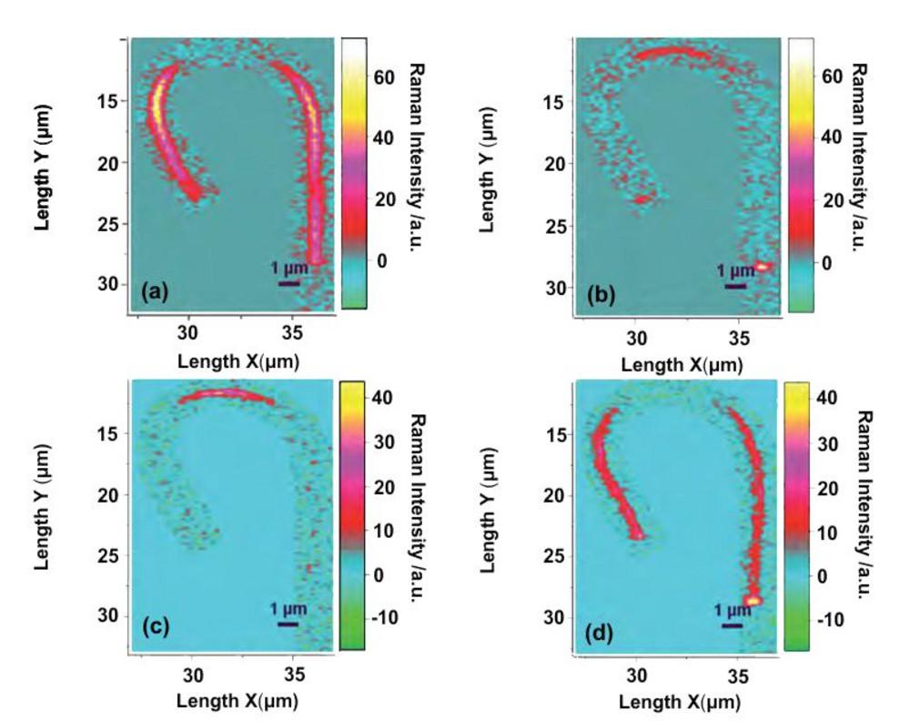 LabRAM Odyssey: Confocal Raman & High-Resolution Spectrometer - HORIBA
