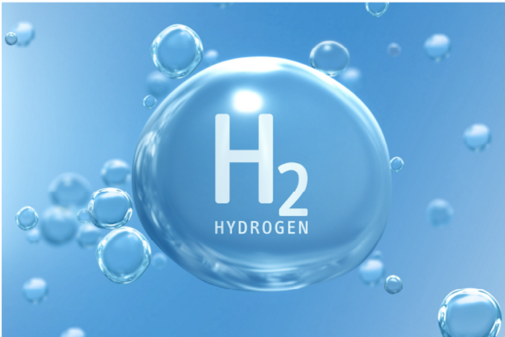 PG-300 series Portable Gas Analyzer - HORIBA