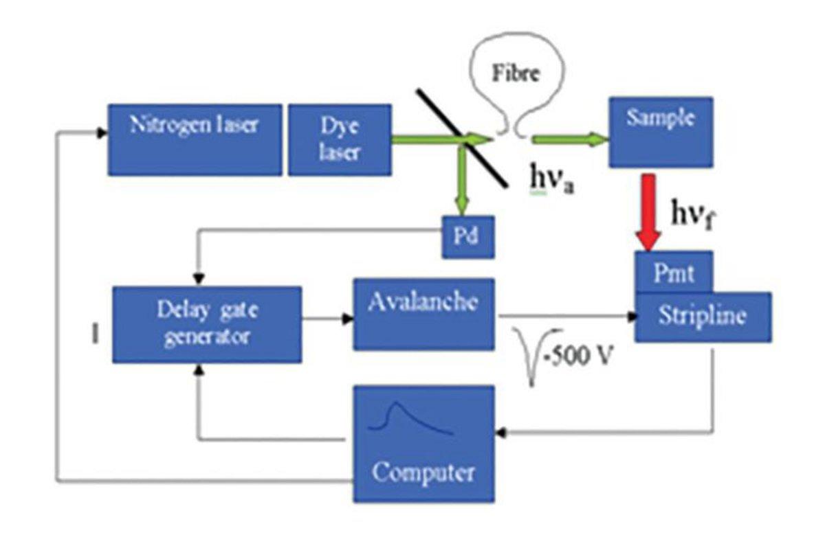 Fluorescence Lifetime Techniques: TCSPC, FRET, TRES, SSTD and more Fluorescence Lifetime Techniques: TCSPC, FRET, TRES, SSTD and more