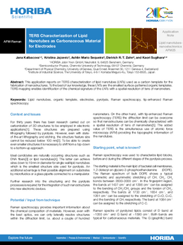 TERS Characterization of Lipid Nanotubes as Carbonaceous Material for ...