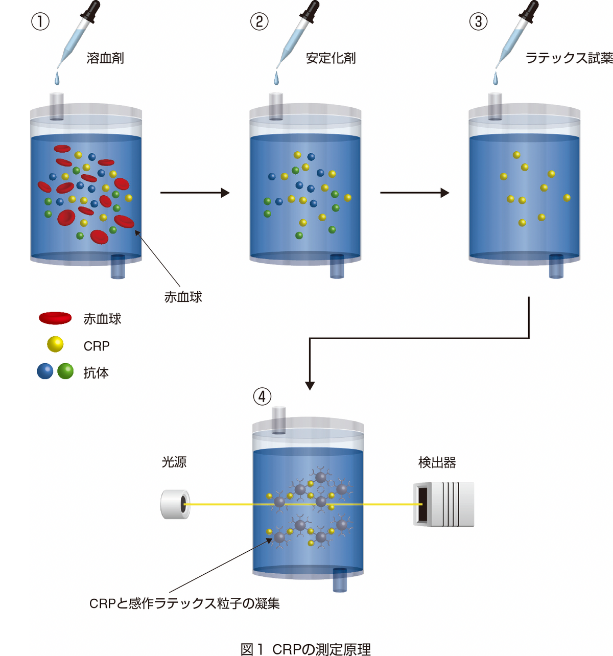 C反応性蛋白（CRP）の測定原理 - HORIBA