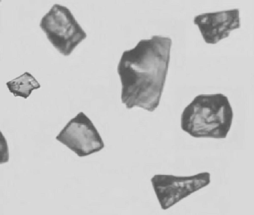 PSA300* Static Image Analysis System Particle Size - HORIBA