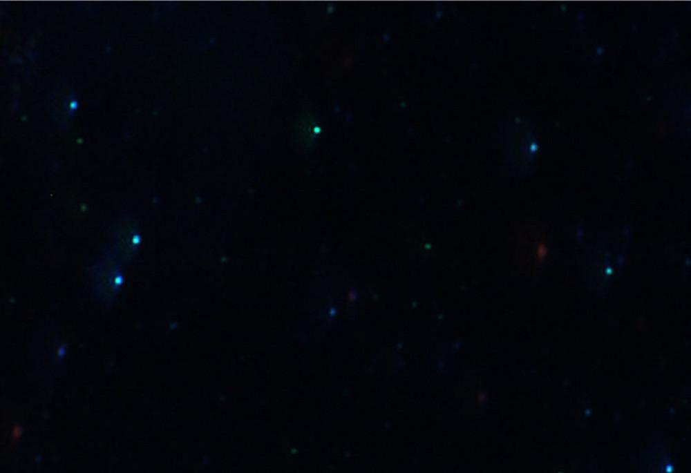 ViewSizer 3000 - HORIBA