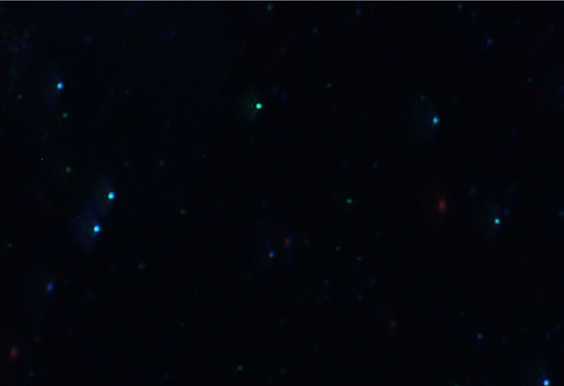 ViewSizer 3000 - HORIBA