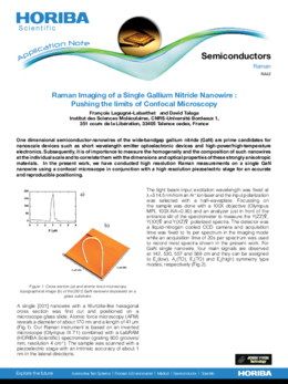 Raman Imaging of a Single Gallium Nitride Nanowire