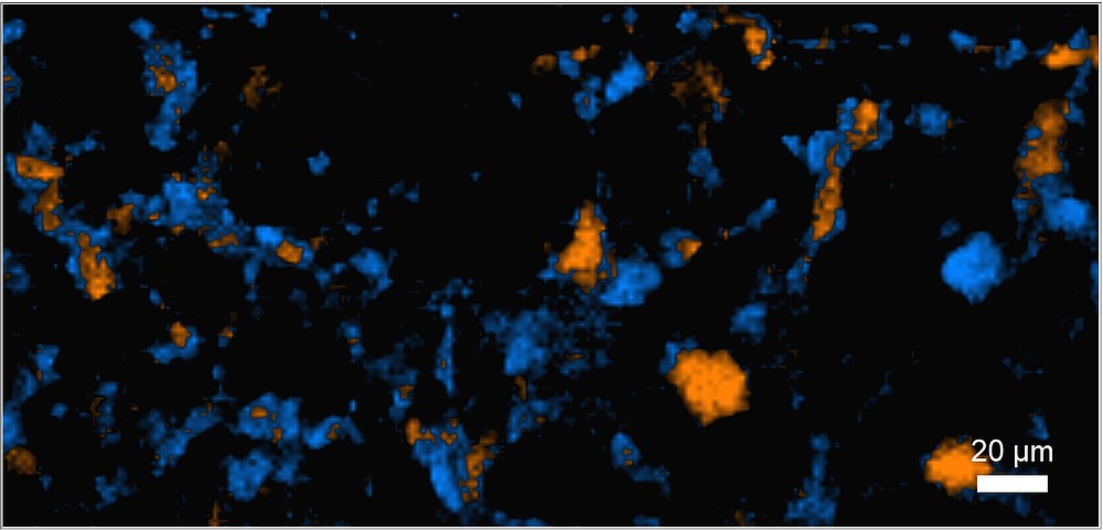 LabRAM Soleil: Raman Spectroscope - Automated Imaging Microscope - HORIBA