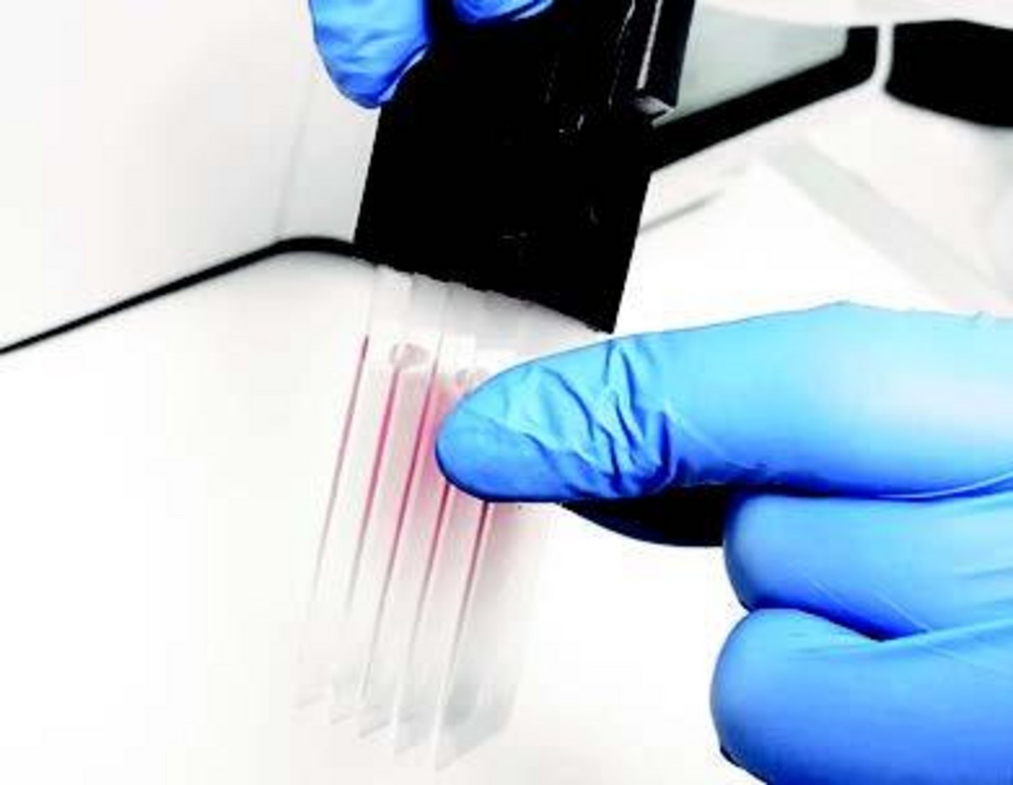 RAL StainBox Blood Slide Stainer - HORIBA