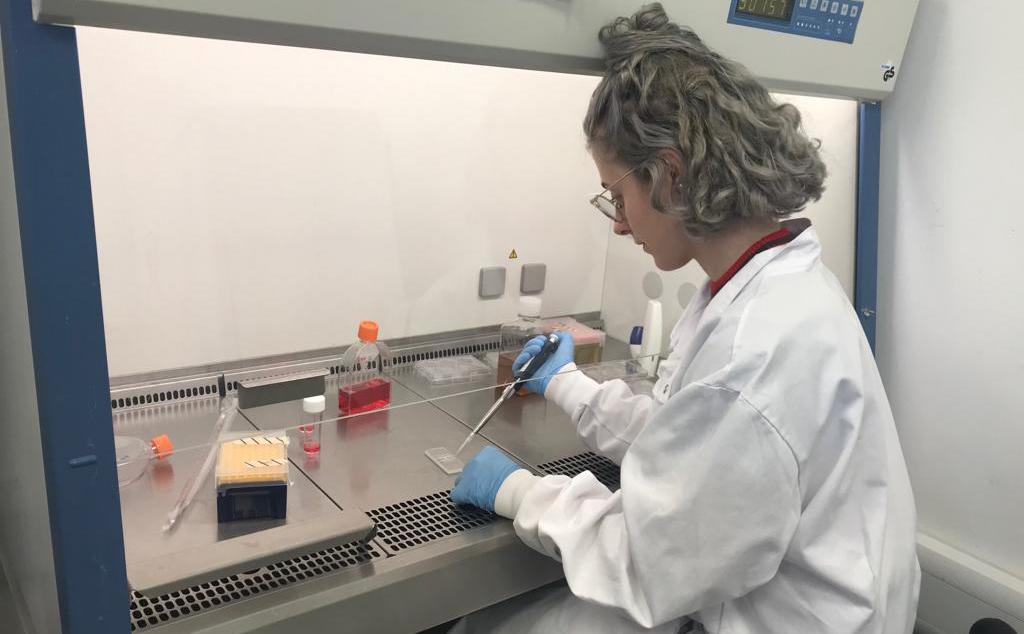 HORIBA News - HORIBA