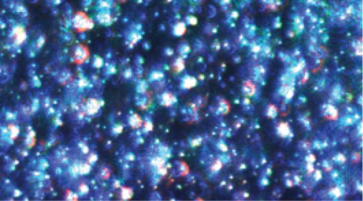 Particle Characterization Applications