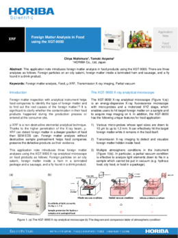 Foreign Matter Analysis in Food using the XGT 9000 - HORIBA