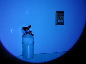 Detection of Body Fluids with an Alternate Light Source - HORIBA