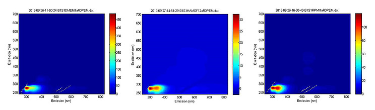Cell Culture - HORIBA