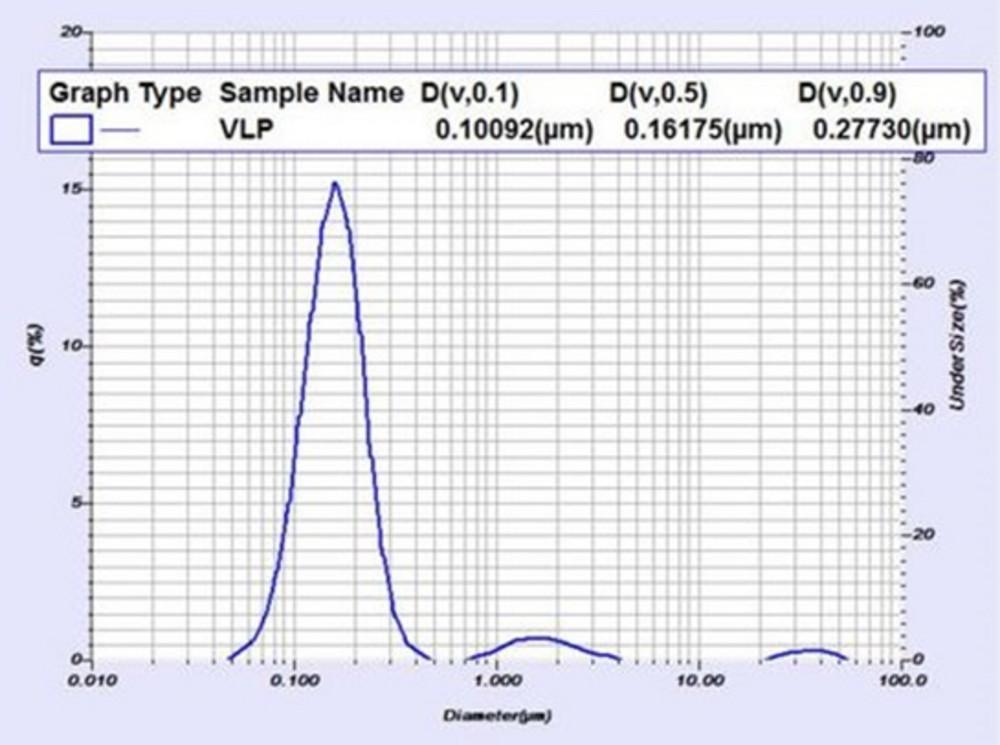 Partica LA-960V2 Laser Scattering Particle Size Distribution Analyzer - HORIBA