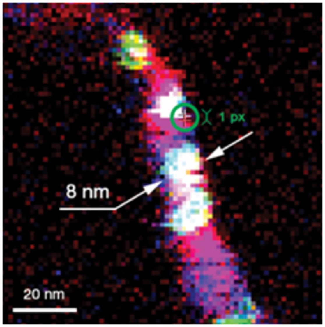 TERS Probes Reliable, efficient TERS probes for AFM-Raman imaging - HORIBA
