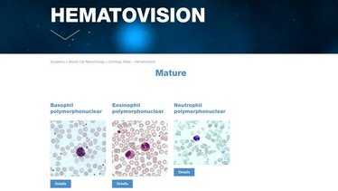 Learning Blood Cell Morphology - HORIBA for Healthcare