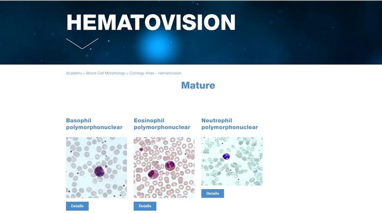Learning Blood Cell Morphology - HORIBA for Healthcare