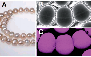 X-ray micro-analysis for pearl characterisation in forensic science ...