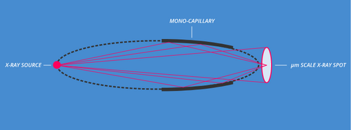 Key Components of X-ray Fluorescence (XRF) Spectrometer