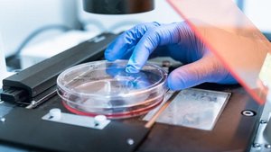 Cell Culture Media - HORIBA