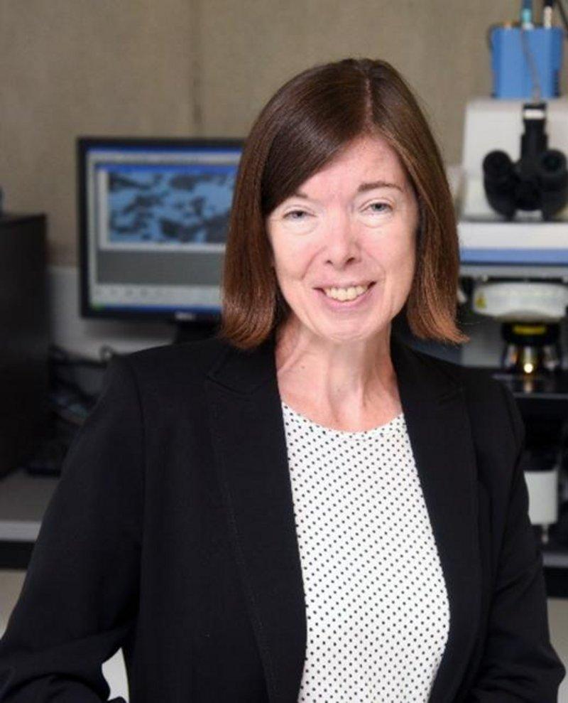 Pourquoi choisir les solutions Raman de HORIBA