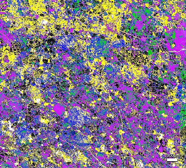 Raman Imaging and Spectrometers - HORIBA