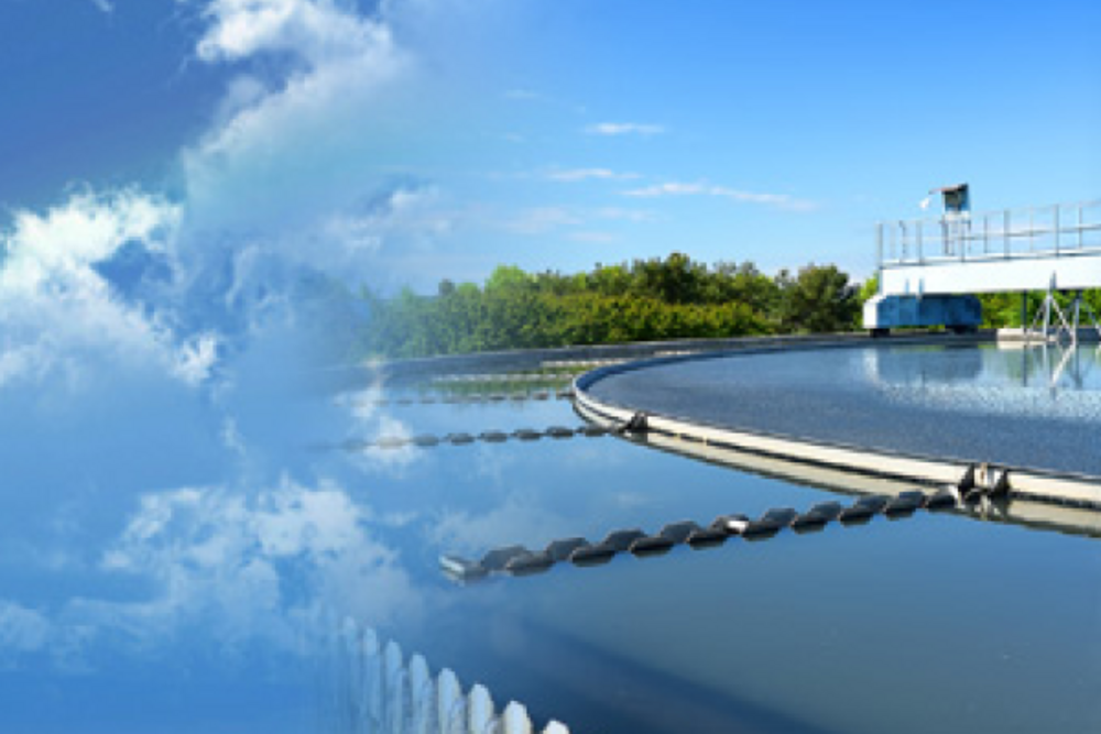 PG-300 series Portable Gas Analyzer - HORIBA