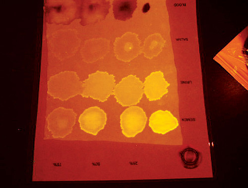 CrimeScope Forensic Light Sources - HORIBA