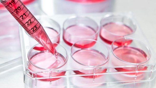 Cell Culture Media - HORIBA