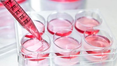 Cell Culture Media - HORIBA