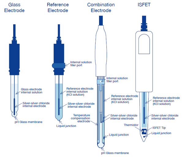 Detector (Reference electrode, Temperature-compensation electrode ...