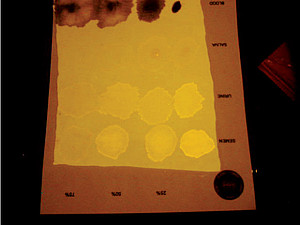 CrimeScope Forensic Light Sources - HORIBA