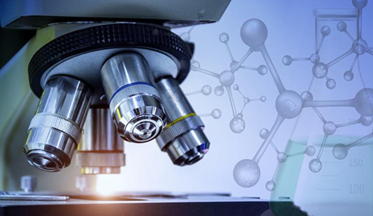 Raman Imaging and Spectrometers - HORIBA