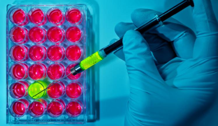Fluorescence Spectroscopy - HORIBA