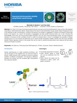 Assessing Biotherapeutics Stability using Raman Spectroscopy
