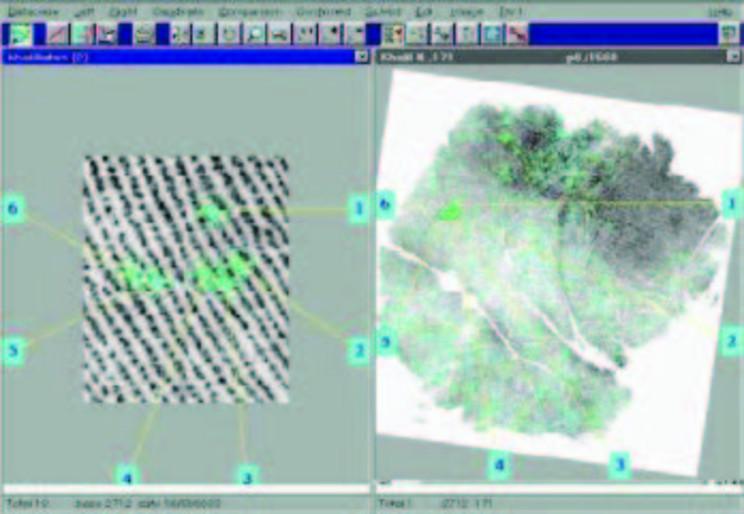 Science in Action - Series of Case Studies