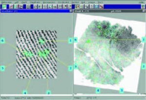 SPEX Forensics algorithms used to solve cold cases - HORIBA
